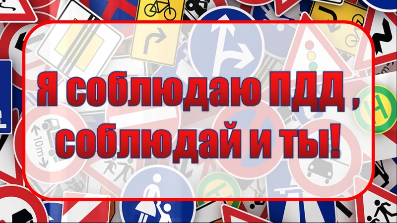 Флешмоб «Я соблюдаю Правила Дорожного Движения. А вы?" | Средняя ...